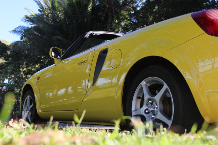 Kengururács és tangapapucs