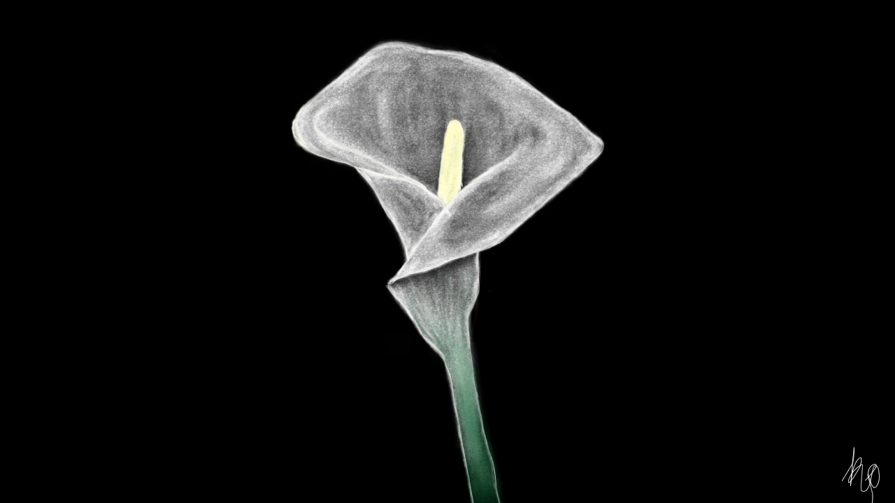 'Flowers' series - Petra's mini art gallery