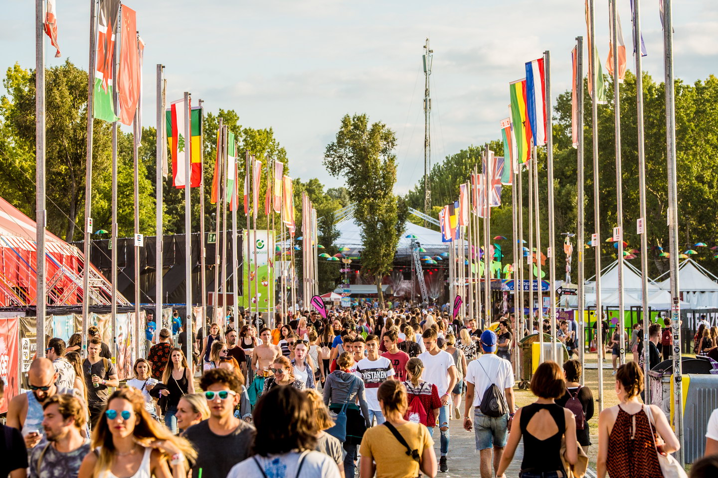 Idén sem lesz Sziget - Fülesbagoly Idén sem lesz Sziget - Fülesbagoly
