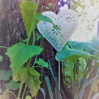 Fehér libatop főzelék - Pitypangos - P. Gabriella képújsága