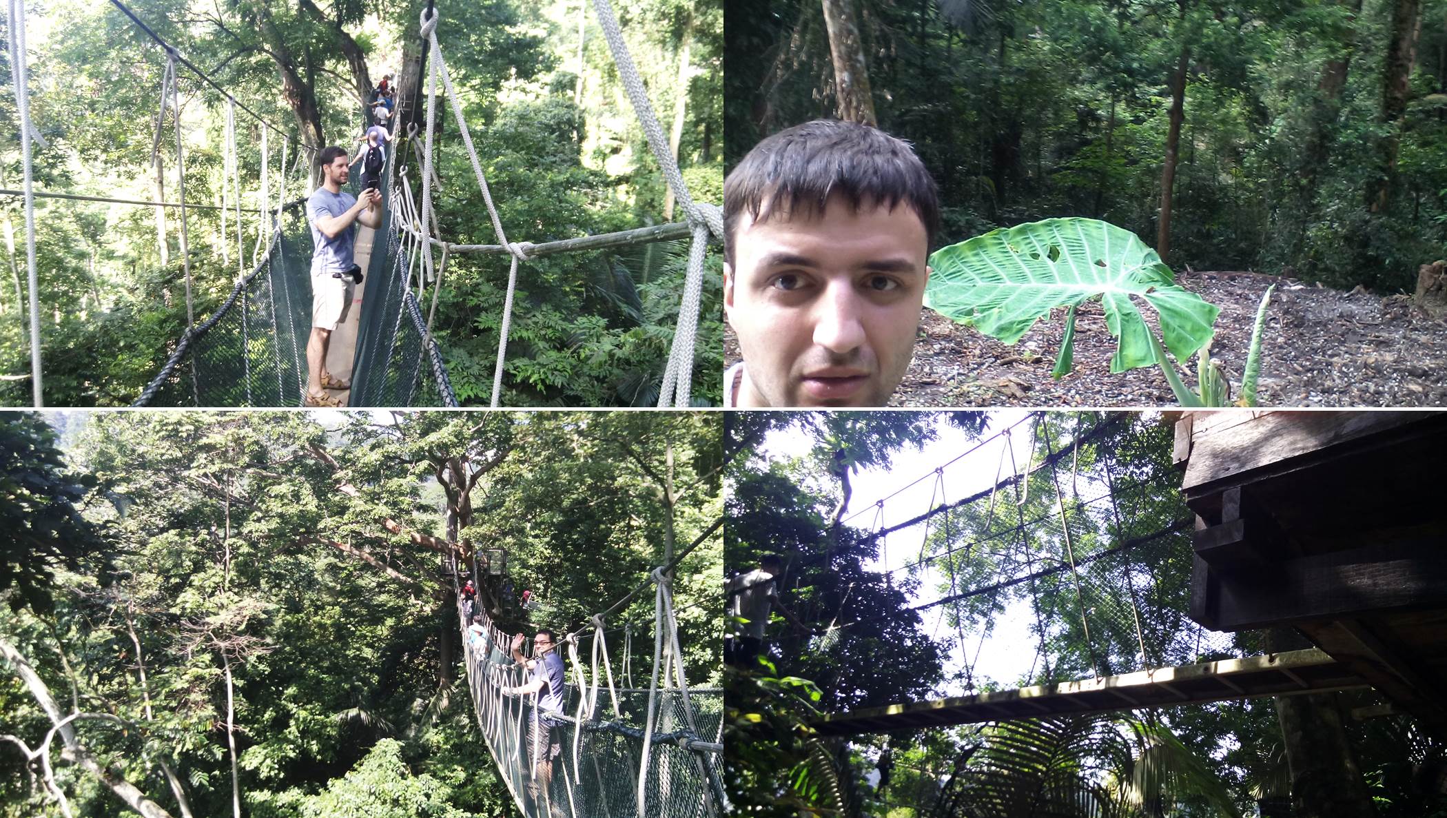 Hatodik hét - KL, Kempong - ipi-APAC