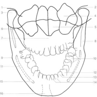 Stenvers - Képalkotás