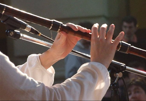 Kaval - JungleKey.fr Image