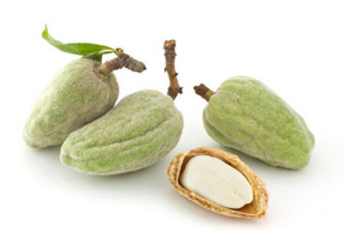 Köszönetajándékok