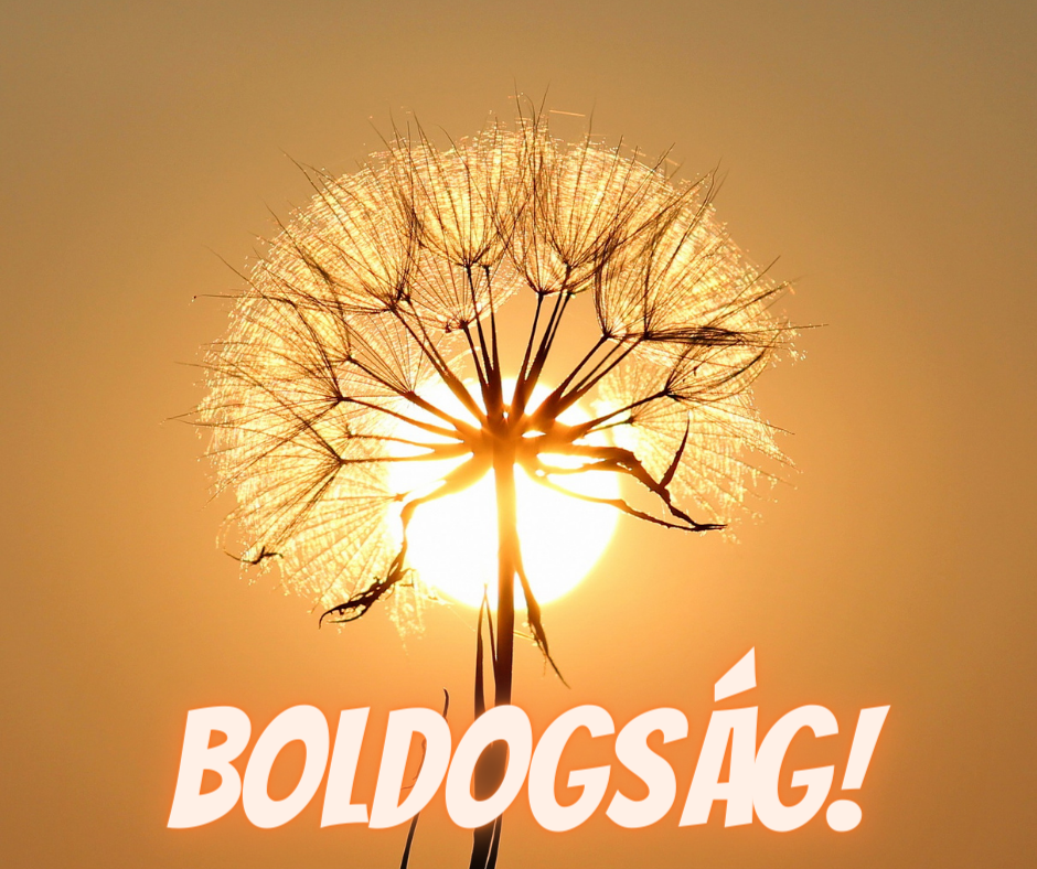 Boldogság 2.0. - Gyermek iránytű
