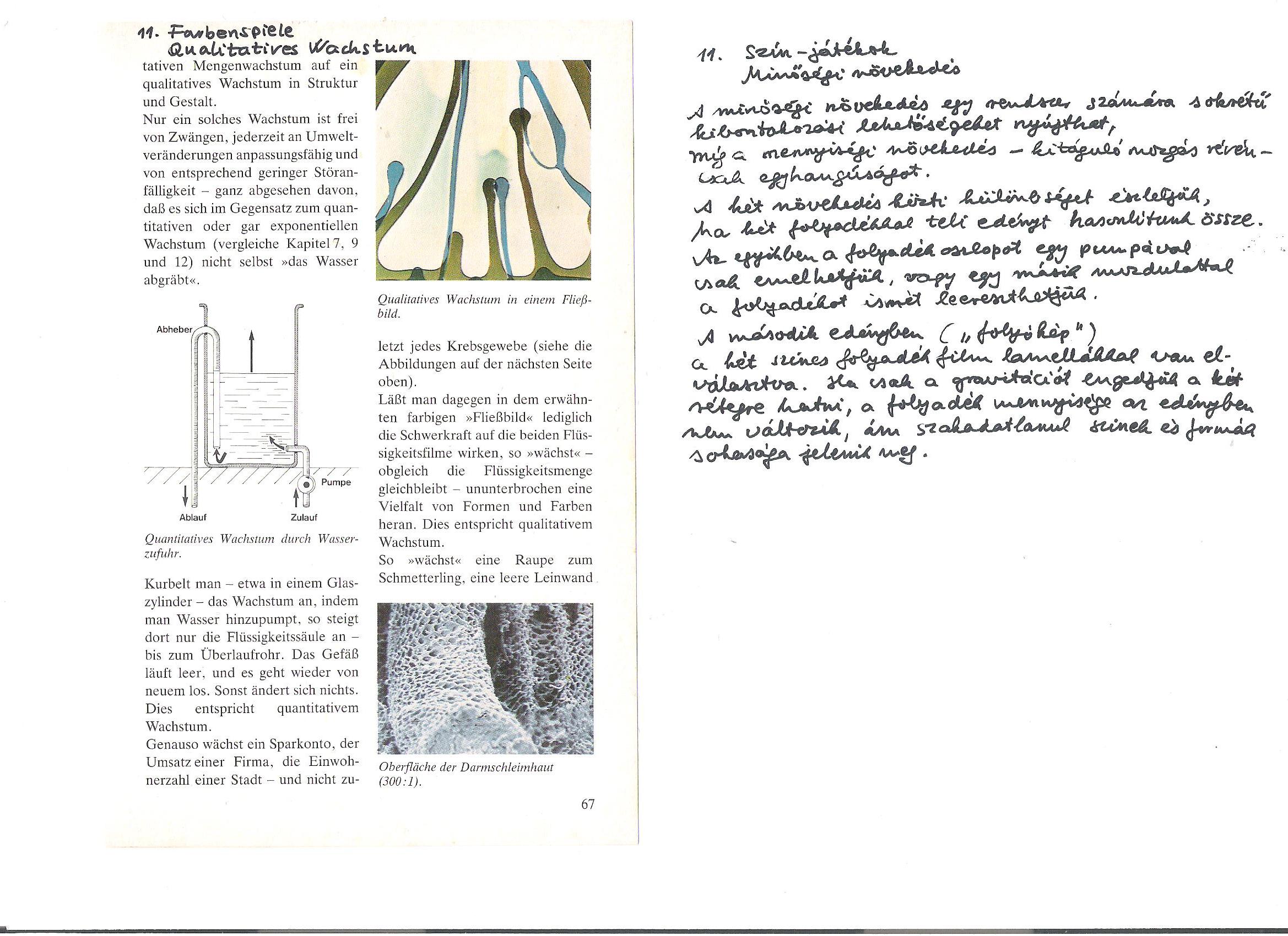 Frederic Vester: Világunk - egy hálózatos rendszer - Ökobetyár
