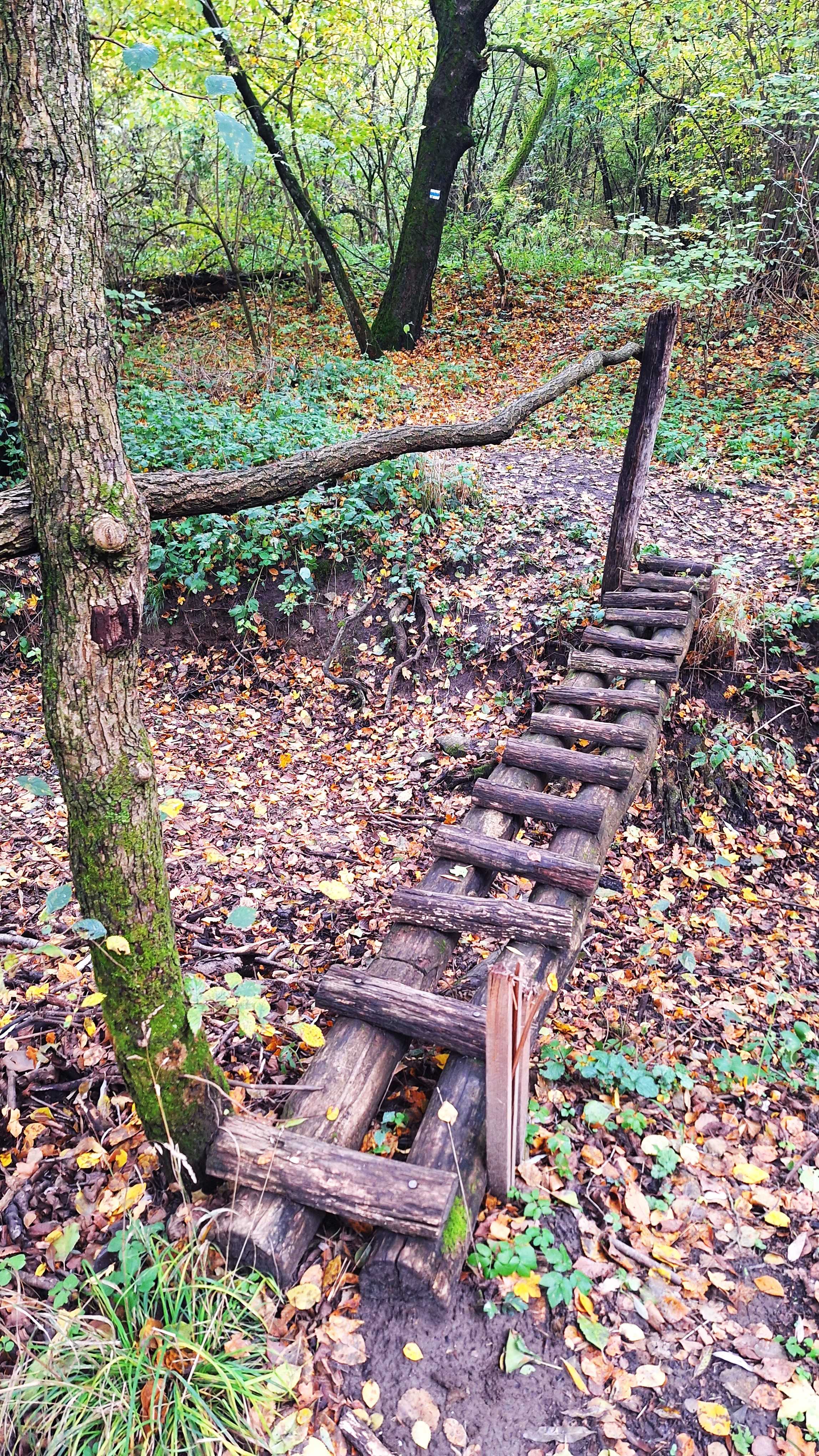 Rezi vár - Paphnutius