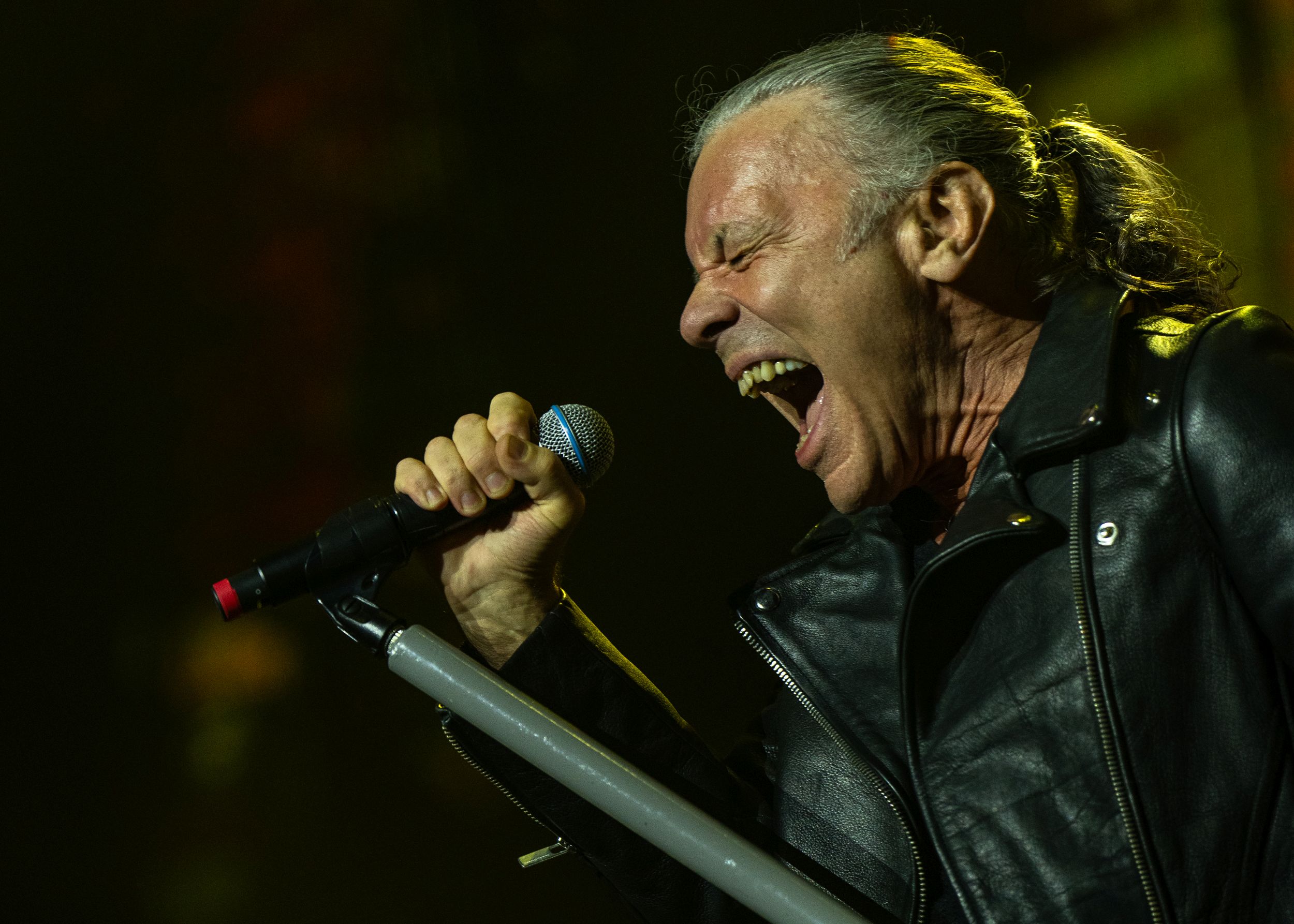 Ilyen volt az Iron Maiden és a Halestorm a Sportarénában (fotógaléria) - Recorder