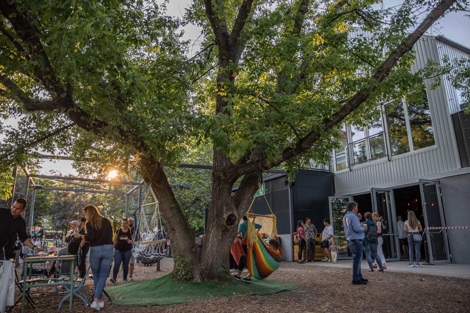 Megnyitott a nagyterem, ilyen lett az új Dürer Kert! - Recorder