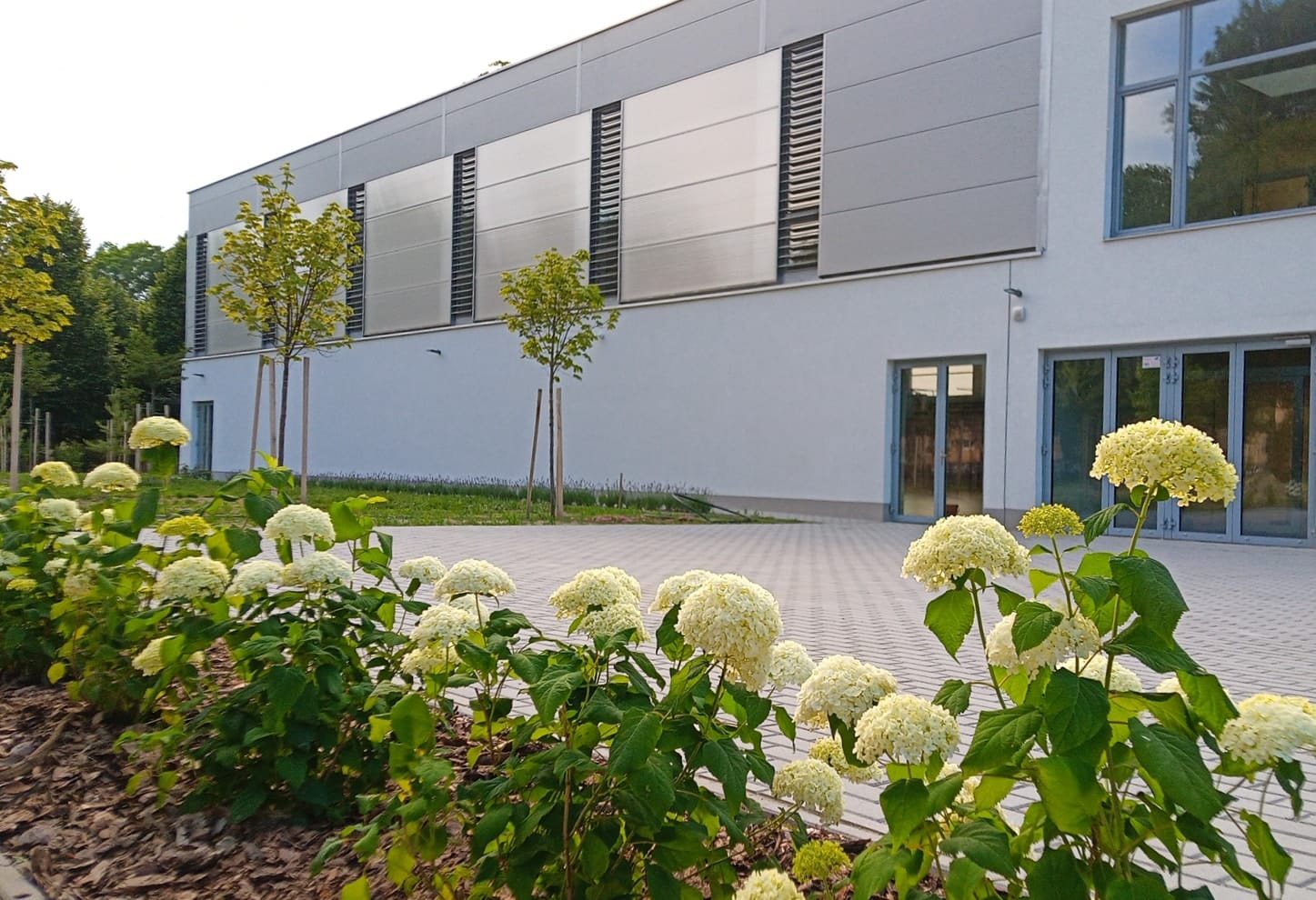 Svidler a győztes - Balog Imre magyar bajnok! - VIII. Csaba Árpád ...