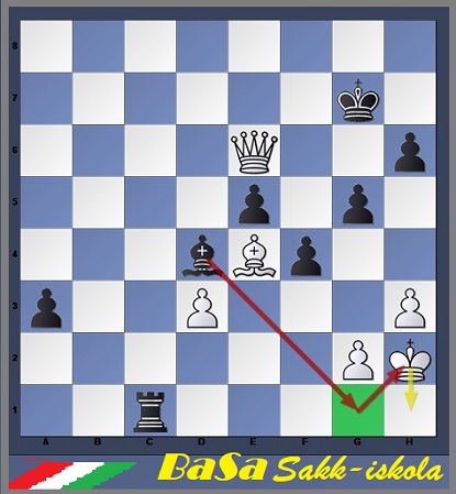 A sakk az Élet szimulátora