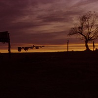 Amerikai dzsigoló / American Gigolo (1980) - Smoking Barrels