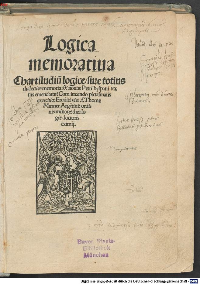 A Napkirály autóskártyái - csodakamra